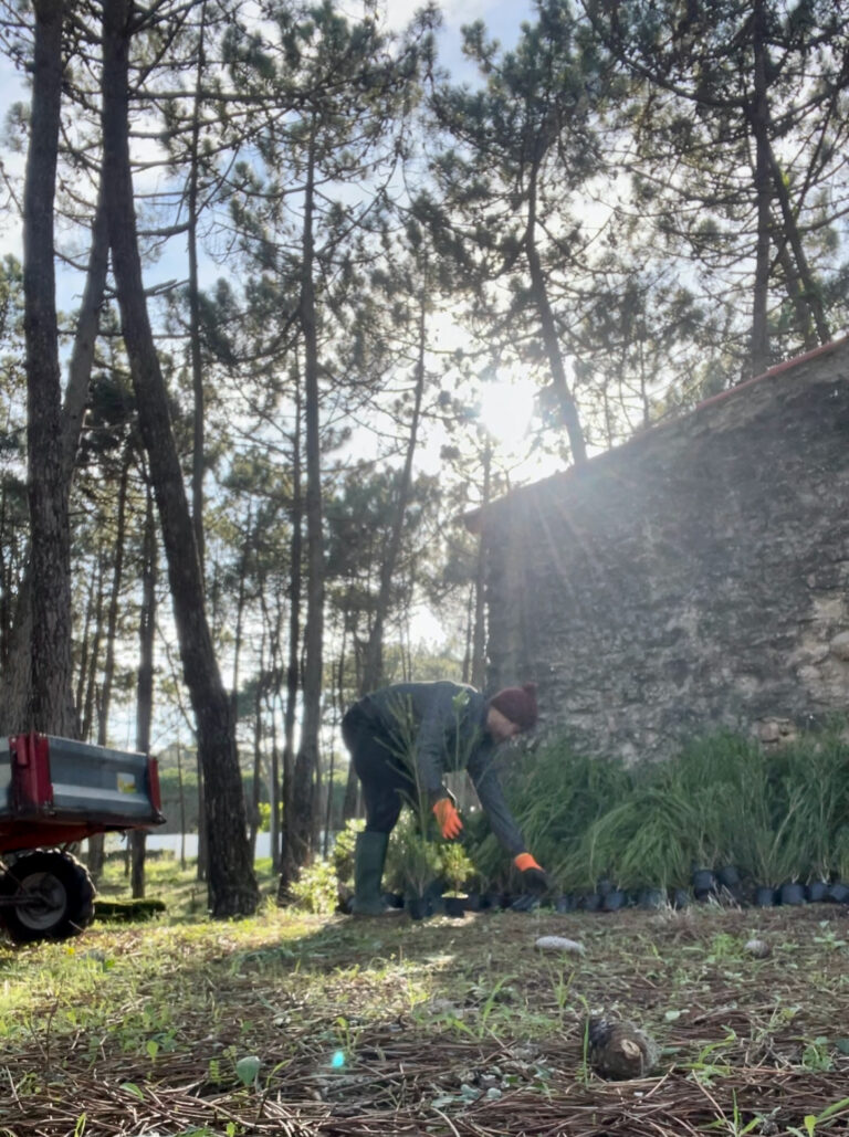 What is a Portuguese “Quinta” and why would you wanna stay on one ...