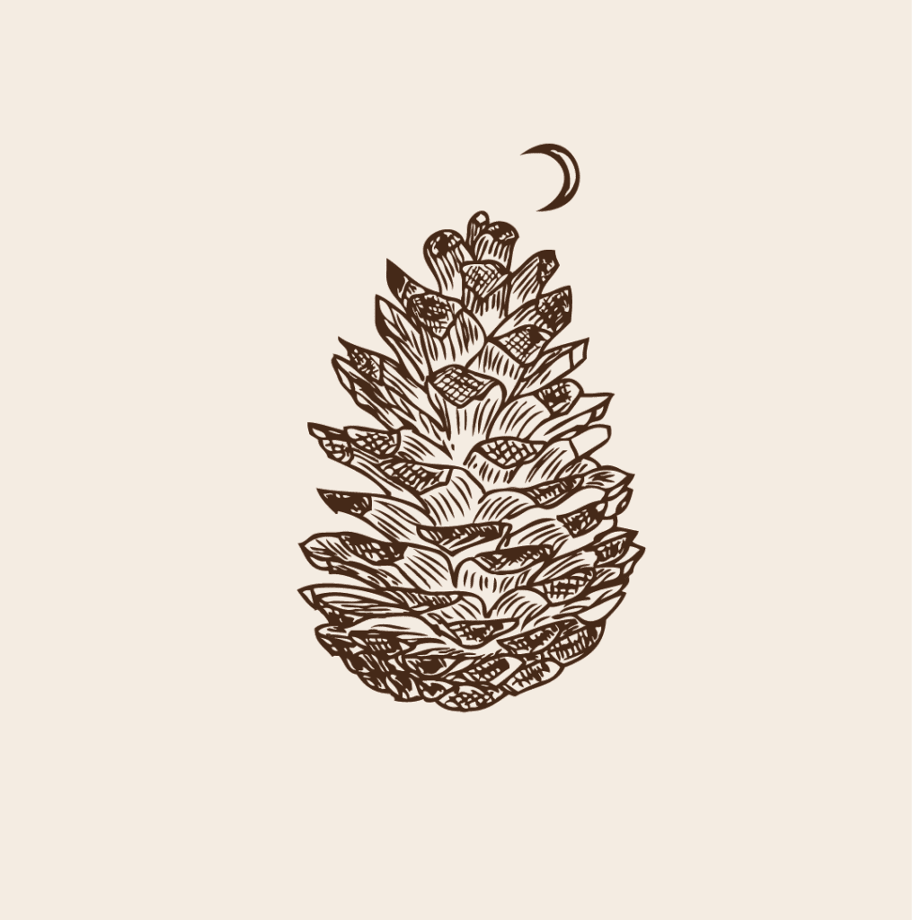 What is a Portuguese “Quinta” and why would you wanna stay on one ...